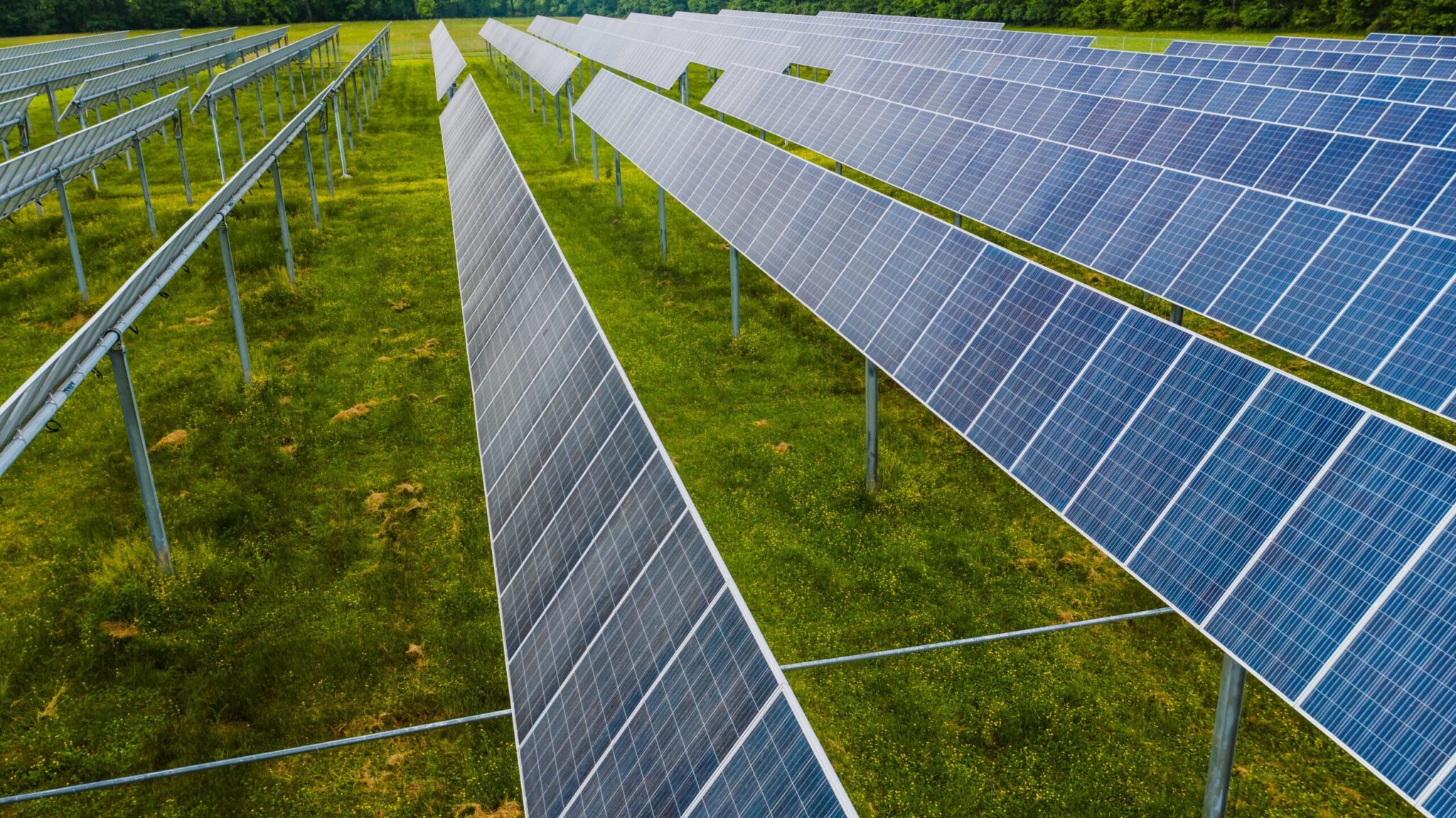 SensoGuard | Solar Farm Security